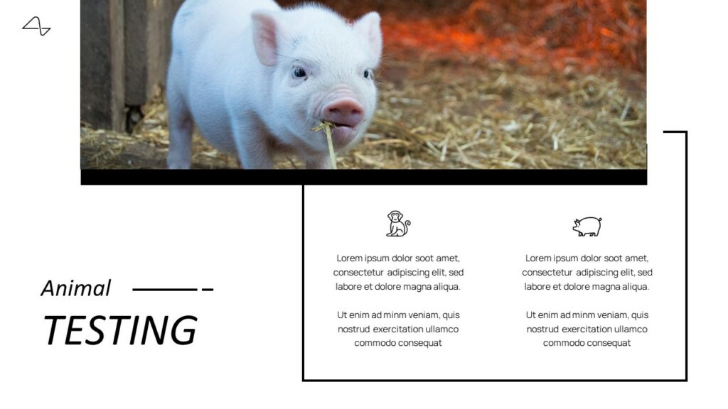 Free Neuralink Presentation Template