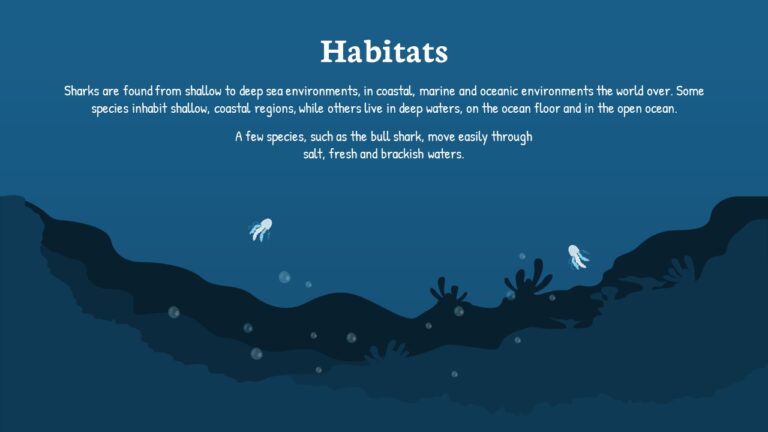 Free Animated Shark Google Slides and PowerPoint Template