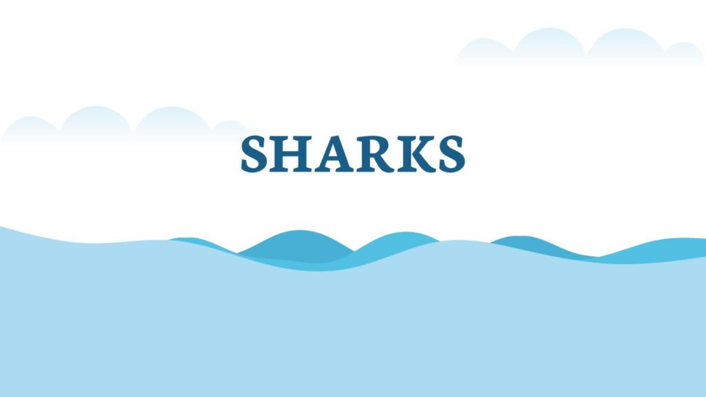 Free Animated Shark Google Slides and PowerPoint Template