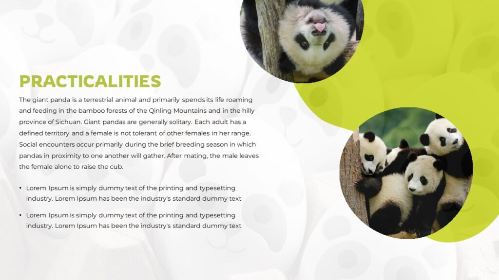 Free Panda Diplomacy Google Slides & PowerPoint Template