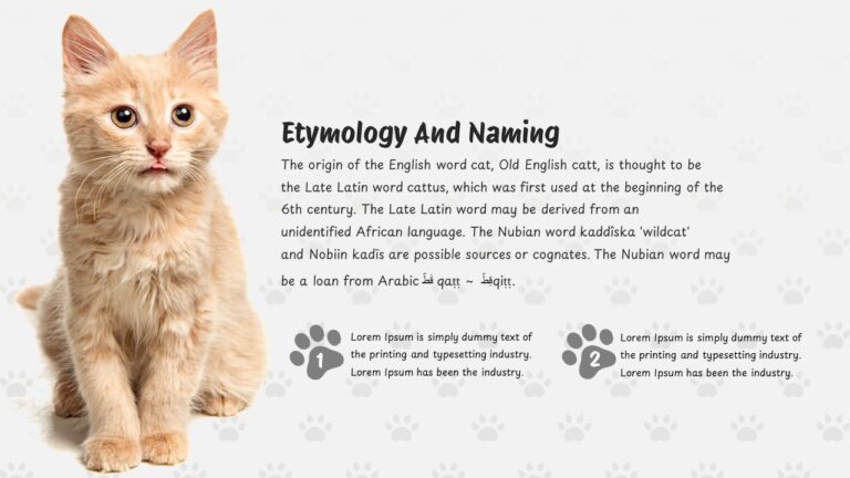 Free Cat PowerPoint Template & Google Slides Themes