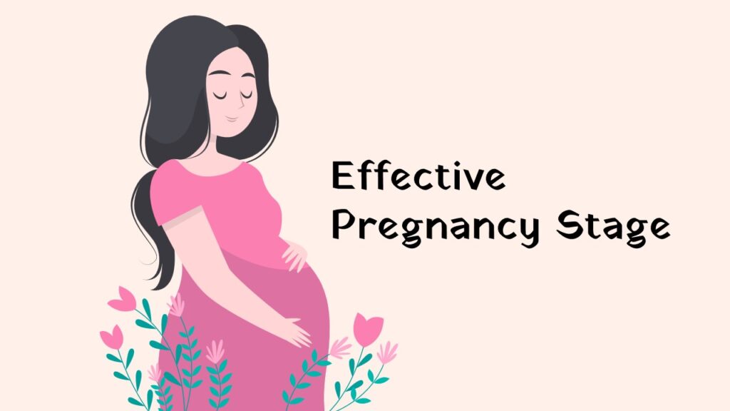 Women Pregnancy Stage PowerPoint Template Free Google Slides