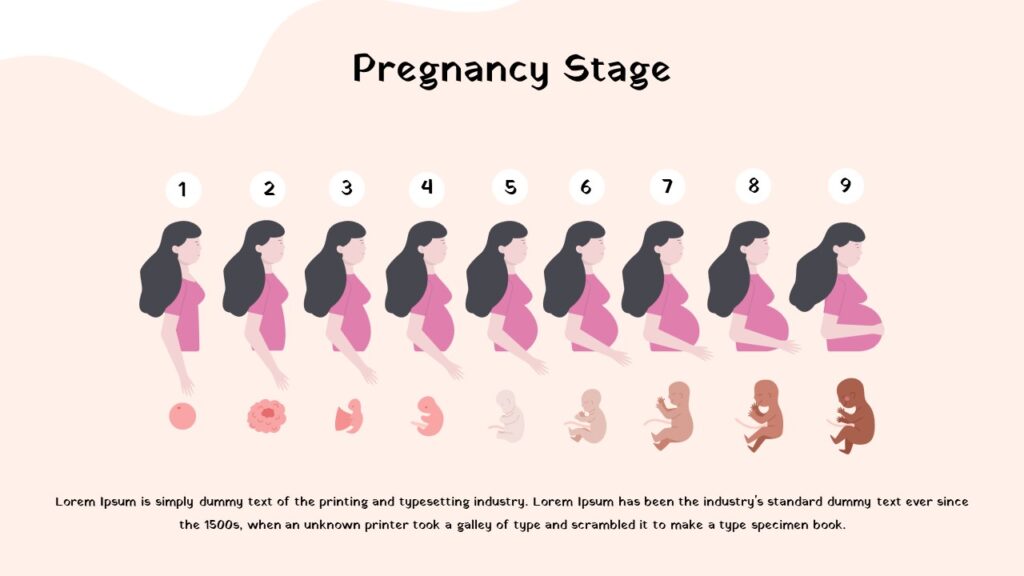 Women Pregnancy Stage PowerPoint Template Free Google Slides