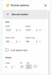How to Flip an Image in Google Slides| Step by Step Guide to Mirror ...